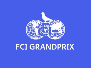 Actual information | pigeonsfci