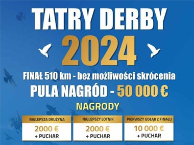 Actual information | pigeonsfci