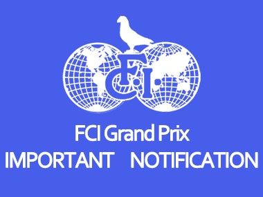 Actual information | pigeonsfci