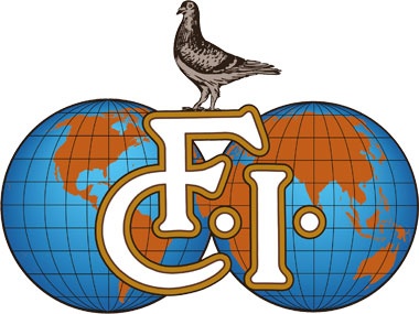 Actual information | pigeonsfci