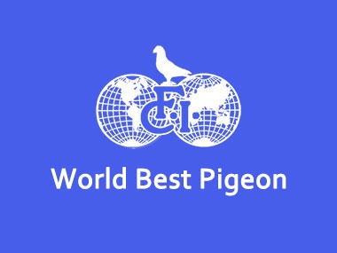 Actual information | pigeonsfci