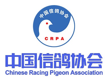 Actual information | pigeonsfci