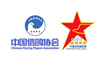 Actual information | pigeonsfci