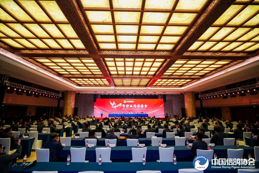 The Chinese Racing Pigeon Association successfully held its 2023 year ...
